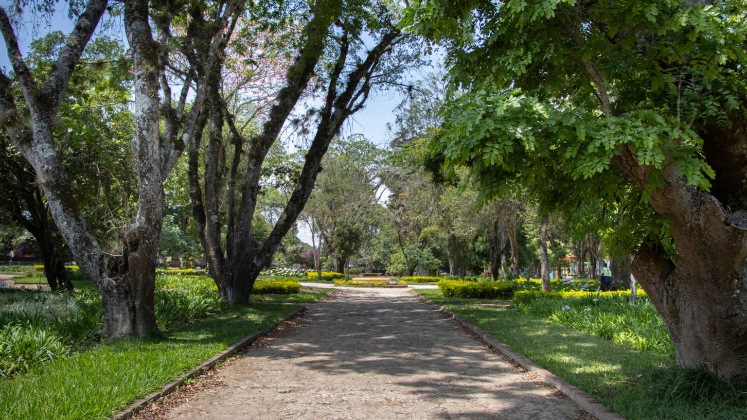 Sistema de parques y áreas verdes – Gran Distrito Verde